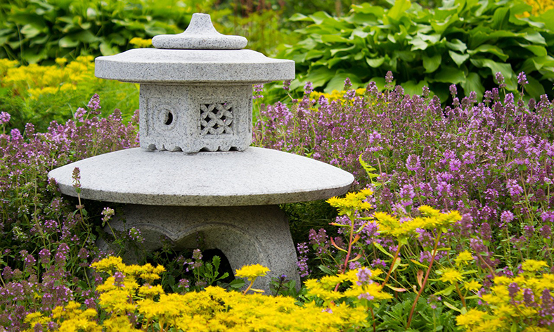 What to Keep in Mind Before Hiring a Remote Landscape Architect